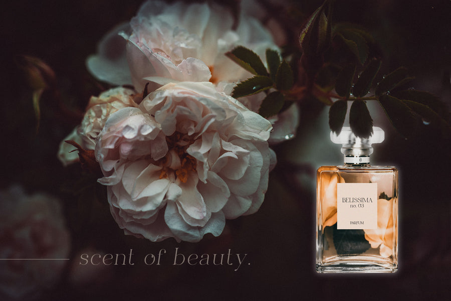 Angele, font family – Angele Kamp